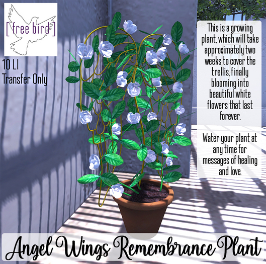 Second Life Marketplace - [ free bird ] Angel Wings Remembrance Plant